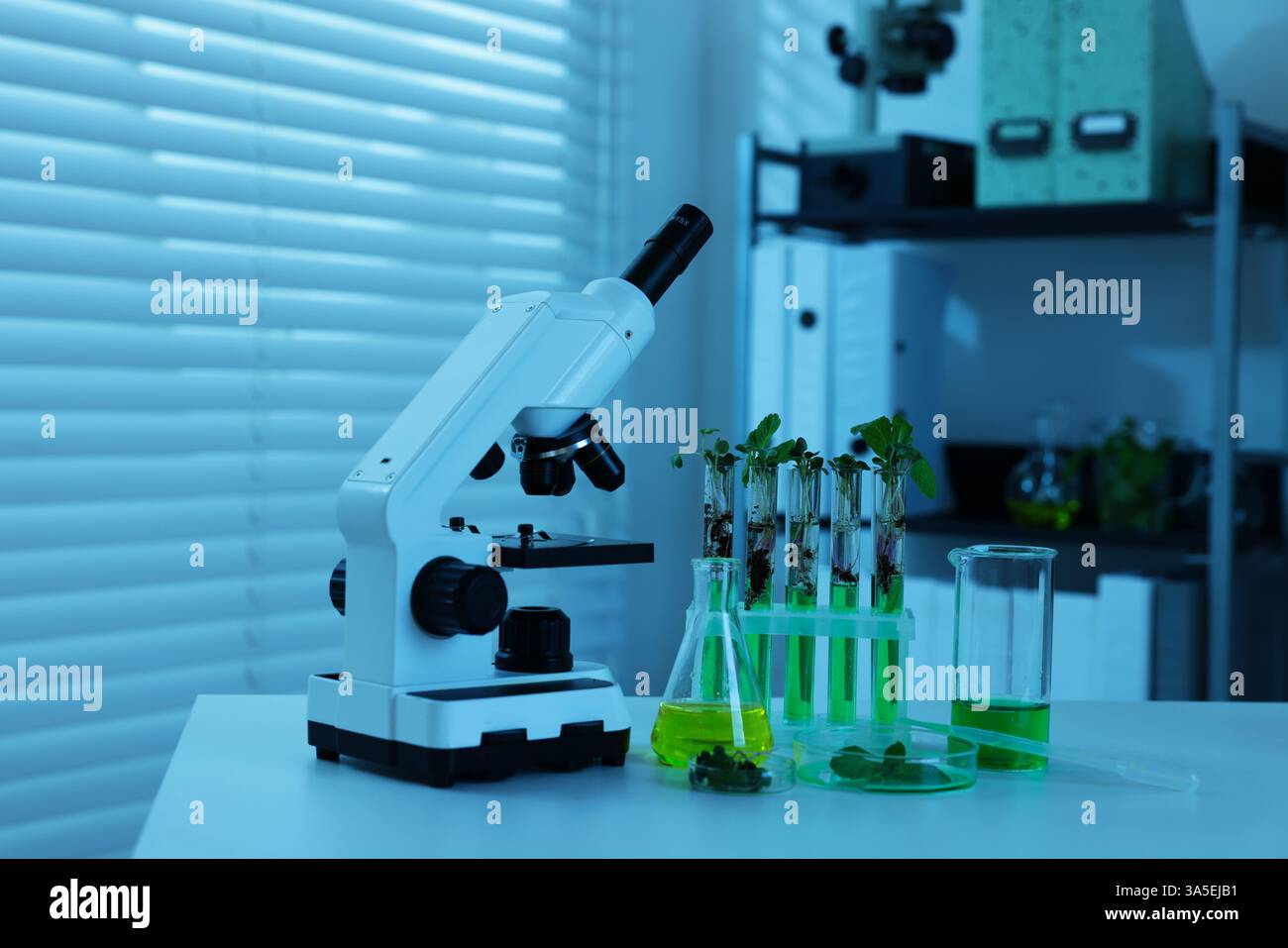 Biochemistry. Microscope, glassware with liquids and plants on white ...
