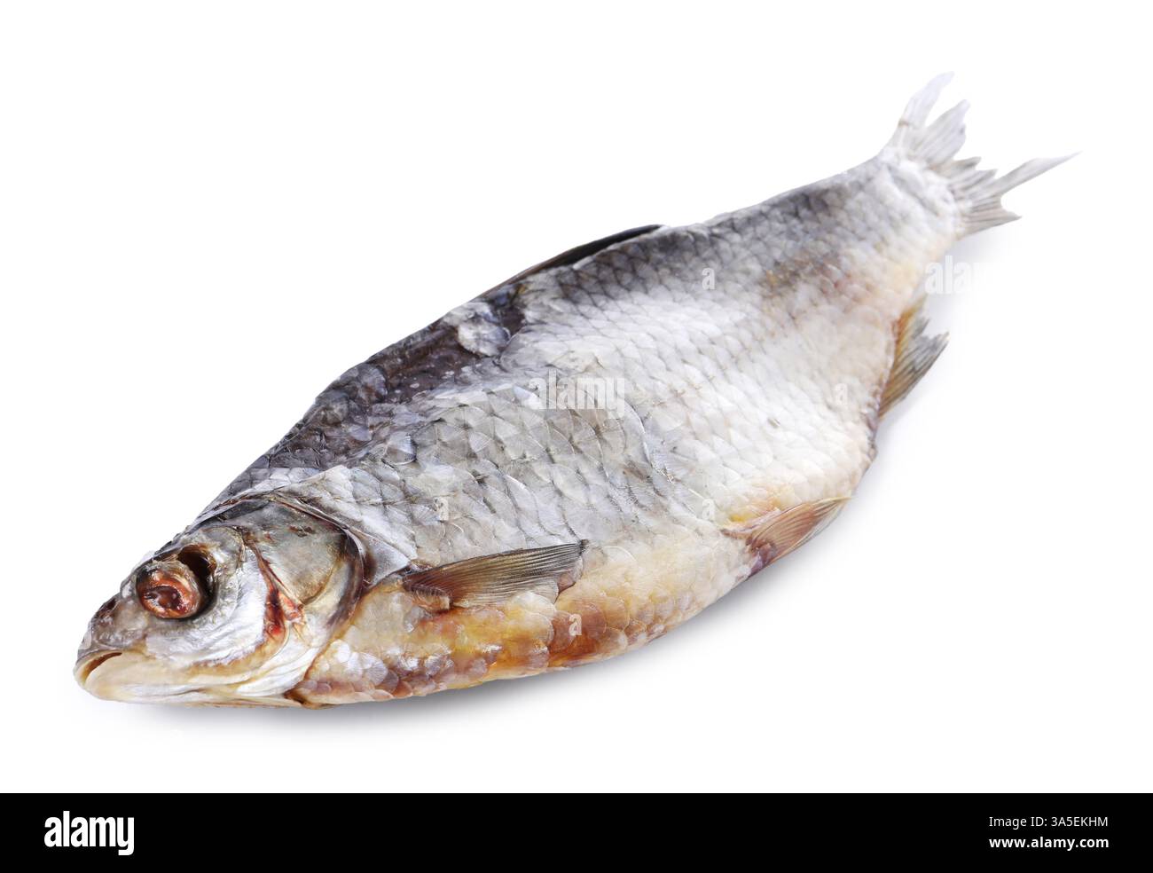Dried salted roach fish isolated on white Stock Photo - Alamy