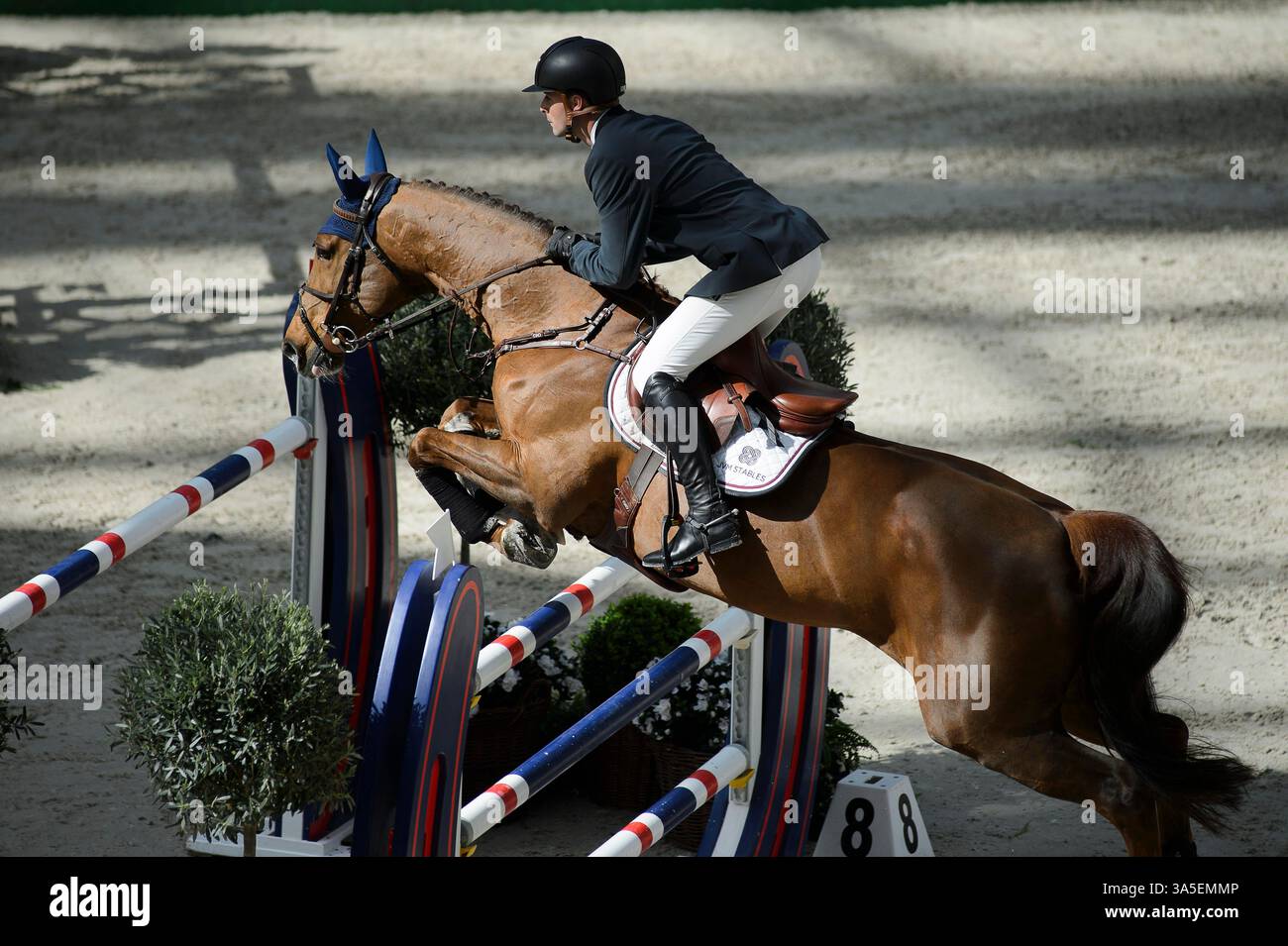 Jordy VAN MASSENHOVE (BEL) riding CALEYA riding Cajus 42 during the ...