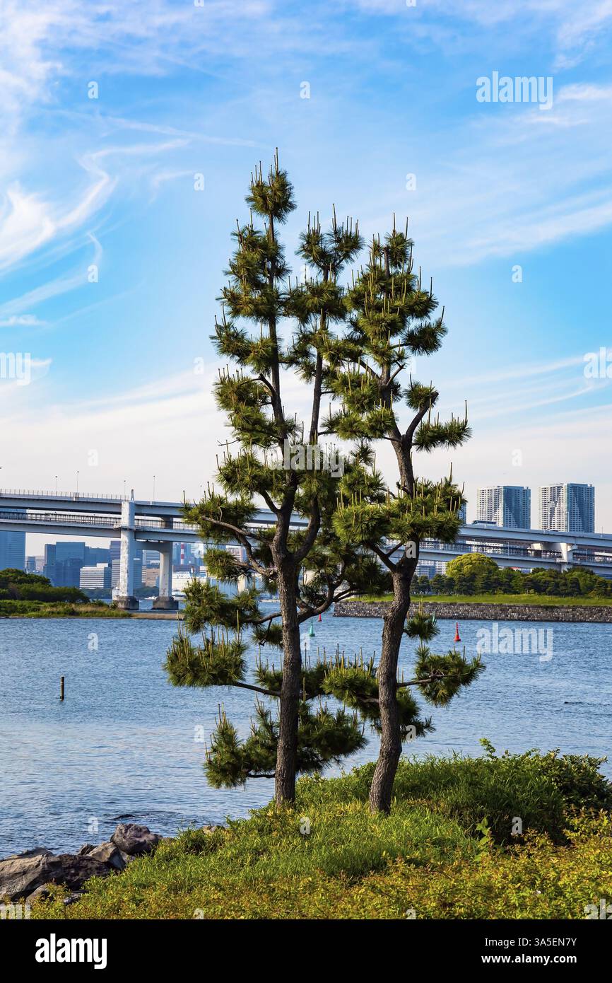 Promenade on Odaiba Island. Japan. The island is connected by the ...