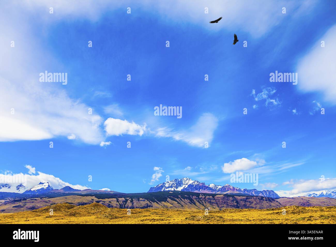 Desert and mountains. The famous ridge Mount Fitz Roy and the ...