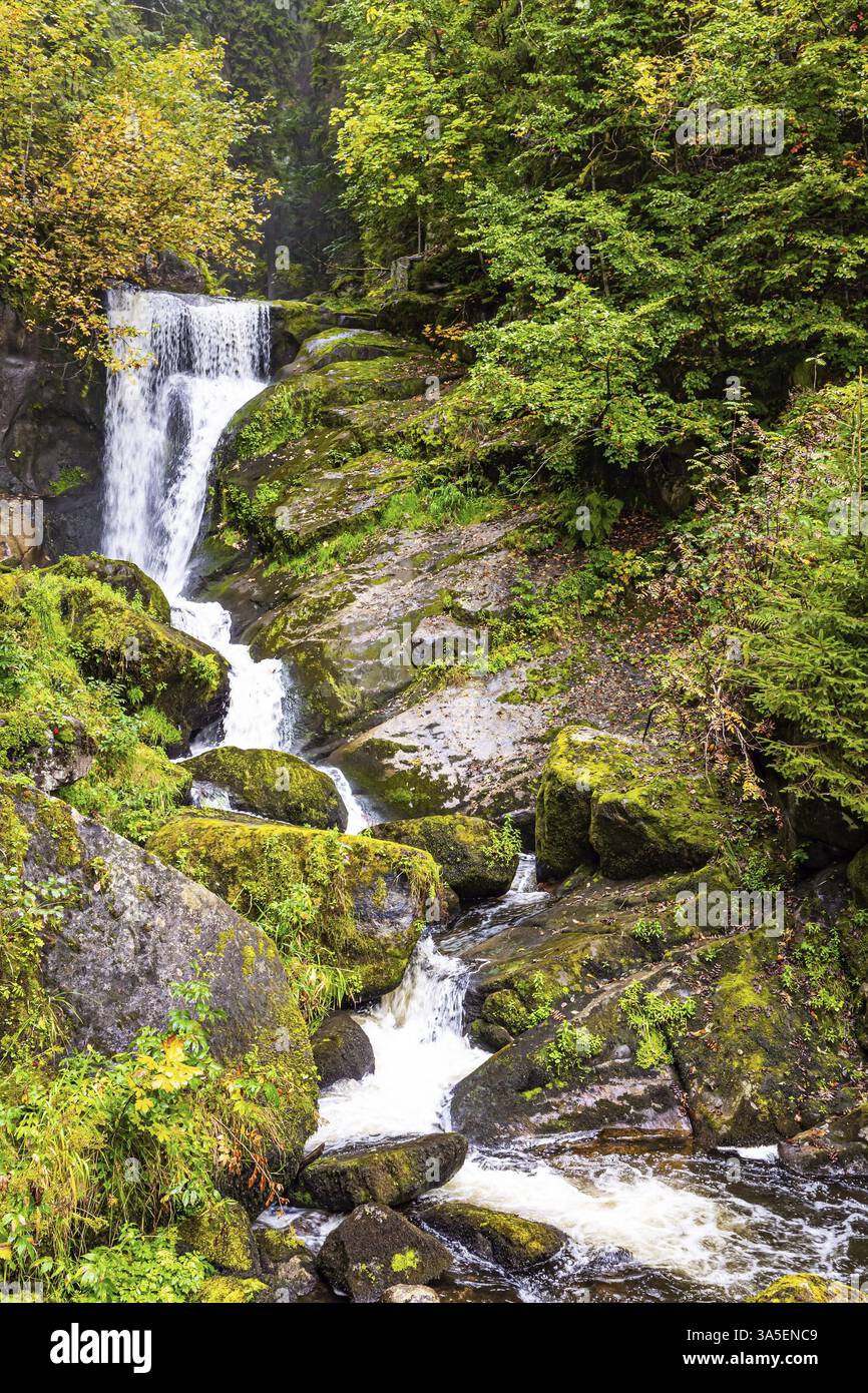 Journey to the World of Water. Germany foggy autumn. Magnificent high ...