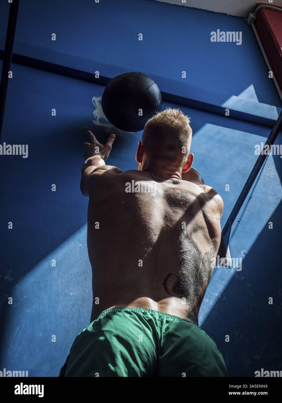 Male athlete throwing fit ball on wall in a gym, seen from the back ...