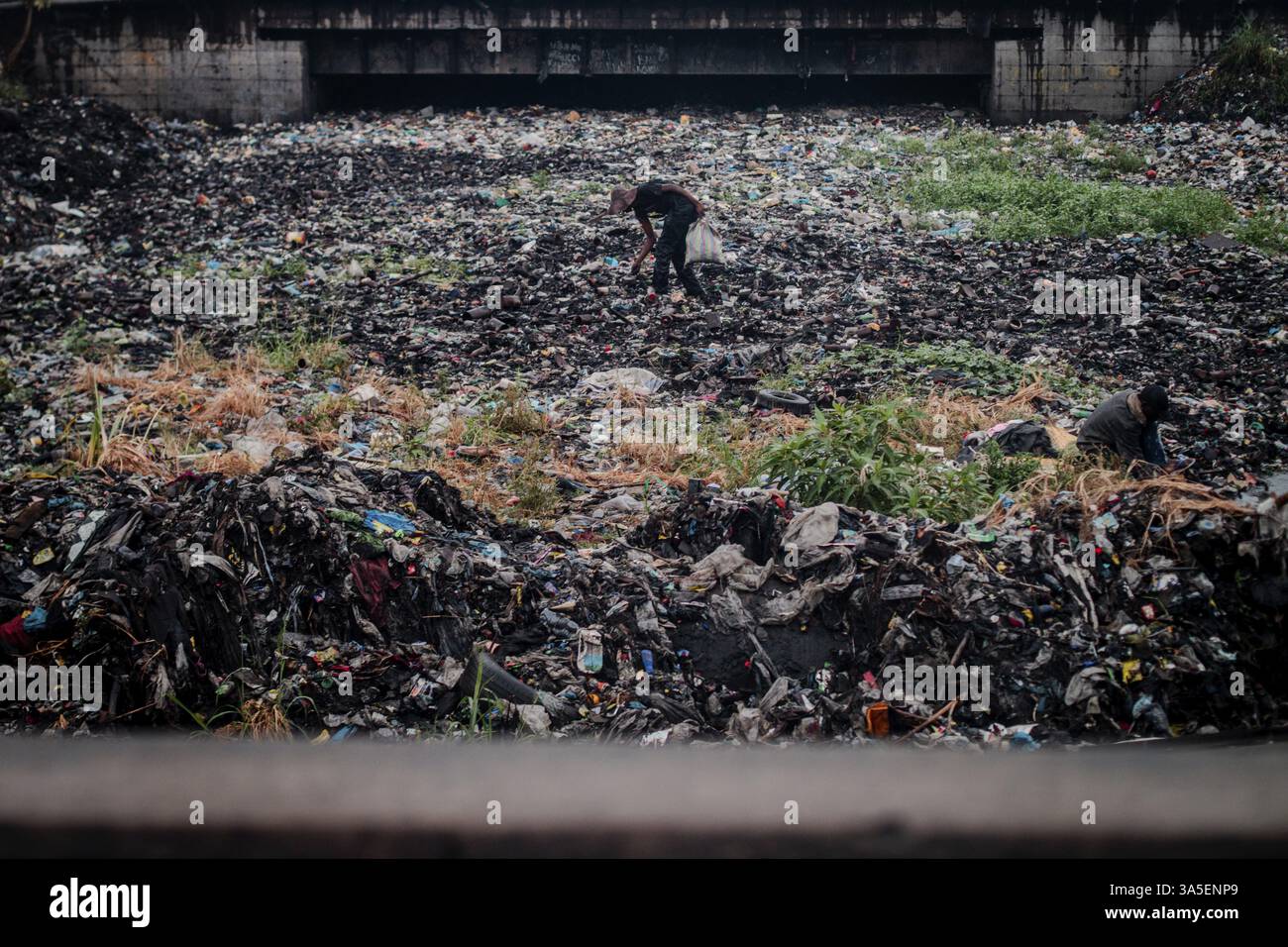 Plastic, rubbish collectors, poverty, environmental pollution, landfill ...