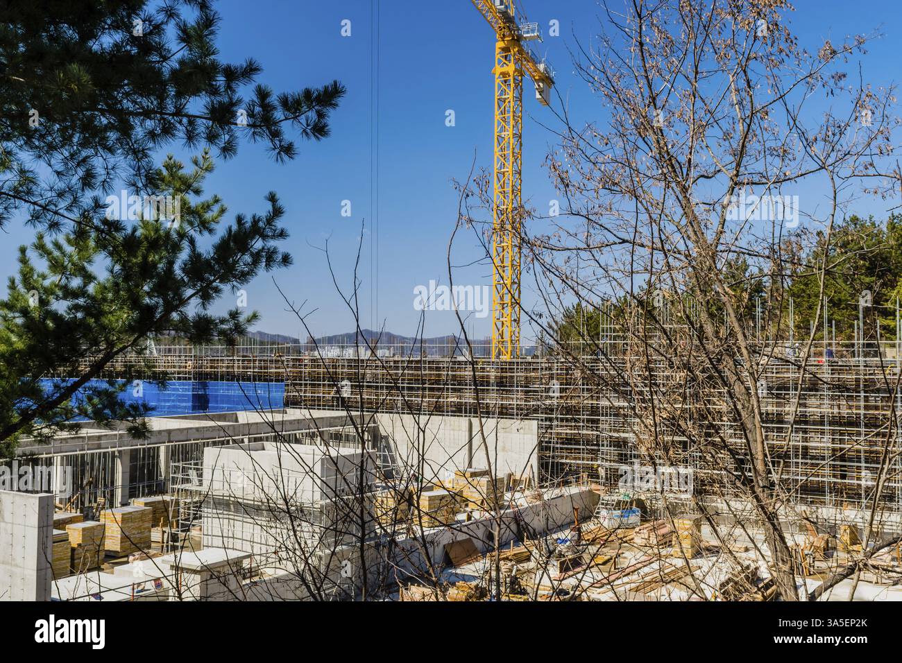 Daejeon, South Korea, March 11, 2020: For editorial use only ...