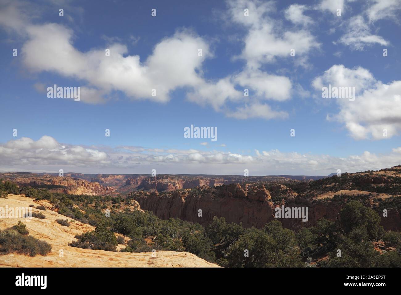 Historical Relic - Navajo Monument. Colossal red sandstone canyon in ...