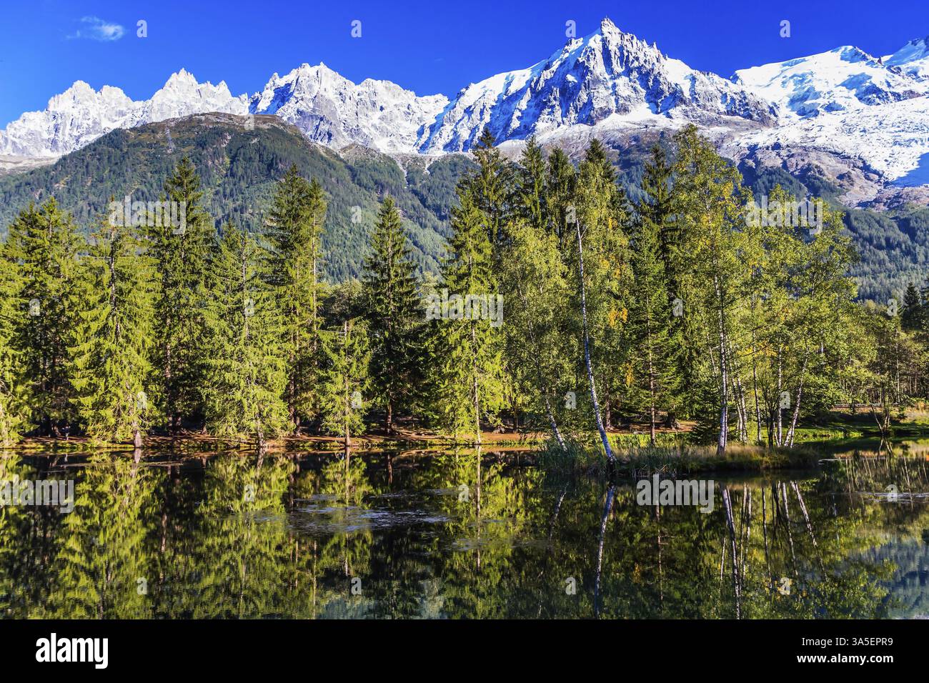 City Park is illuminated by the sunset. The lake reflected the ...