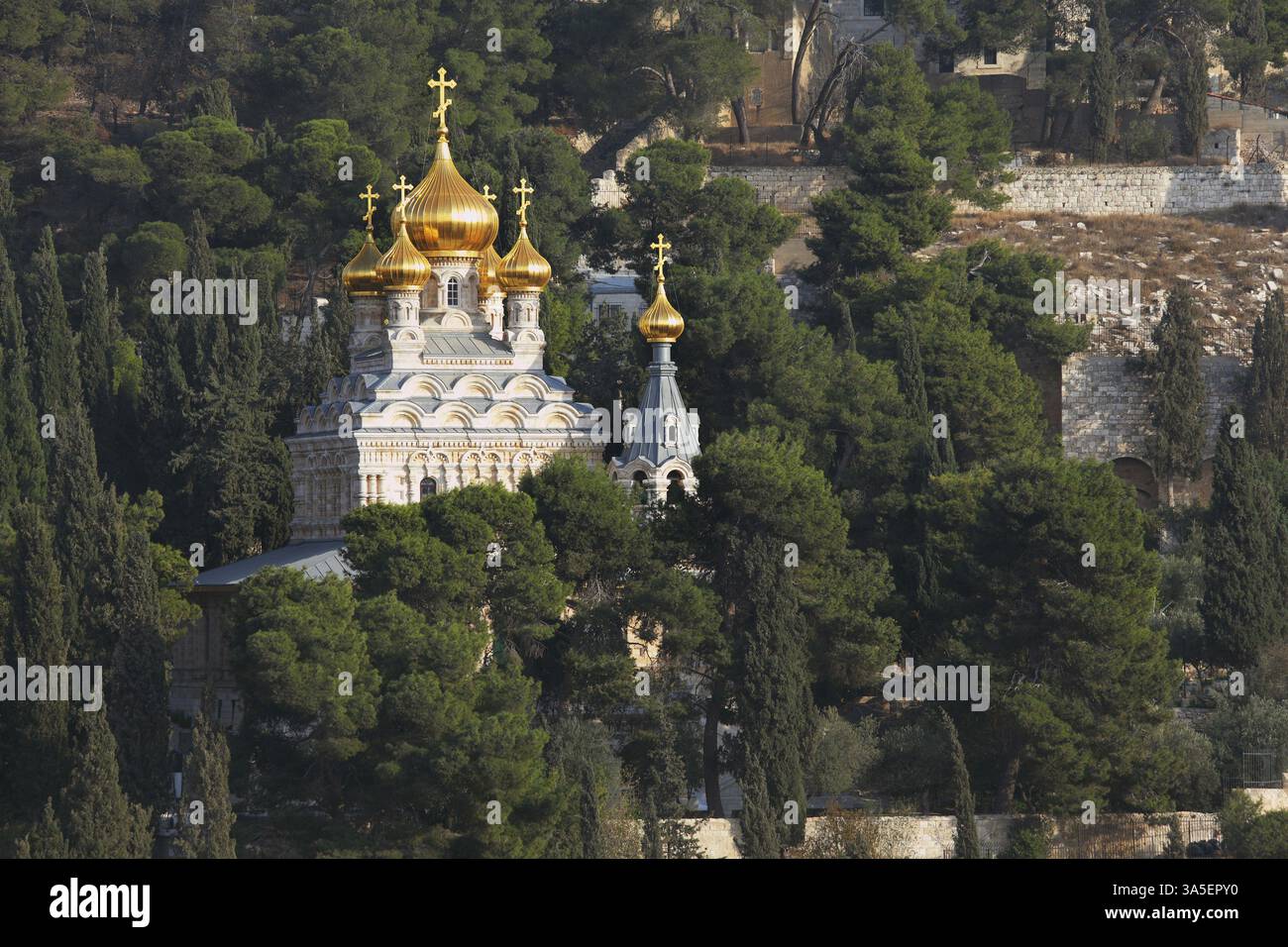 Golden domes of the Church of Mary Magdalene and cypresses. Mount of ...