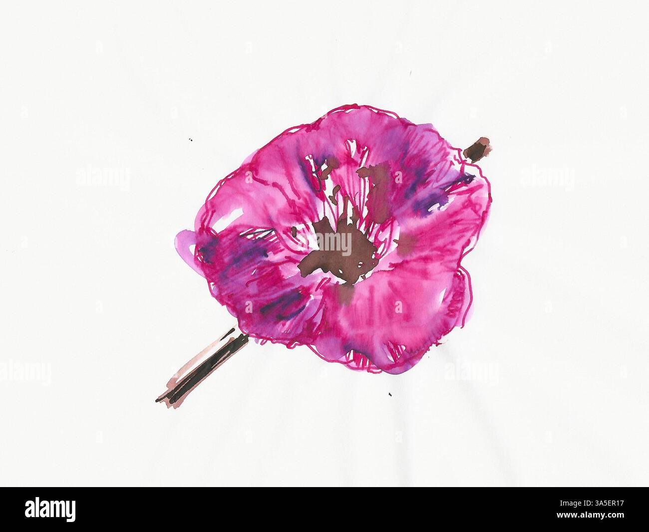 Ink and wash drawing Cut Out Stock Images & Pictures - Alamy