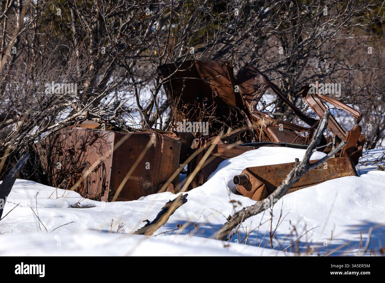 Old, rusty wrecked car abandoned in trees near Delta Junction, Alaska ...