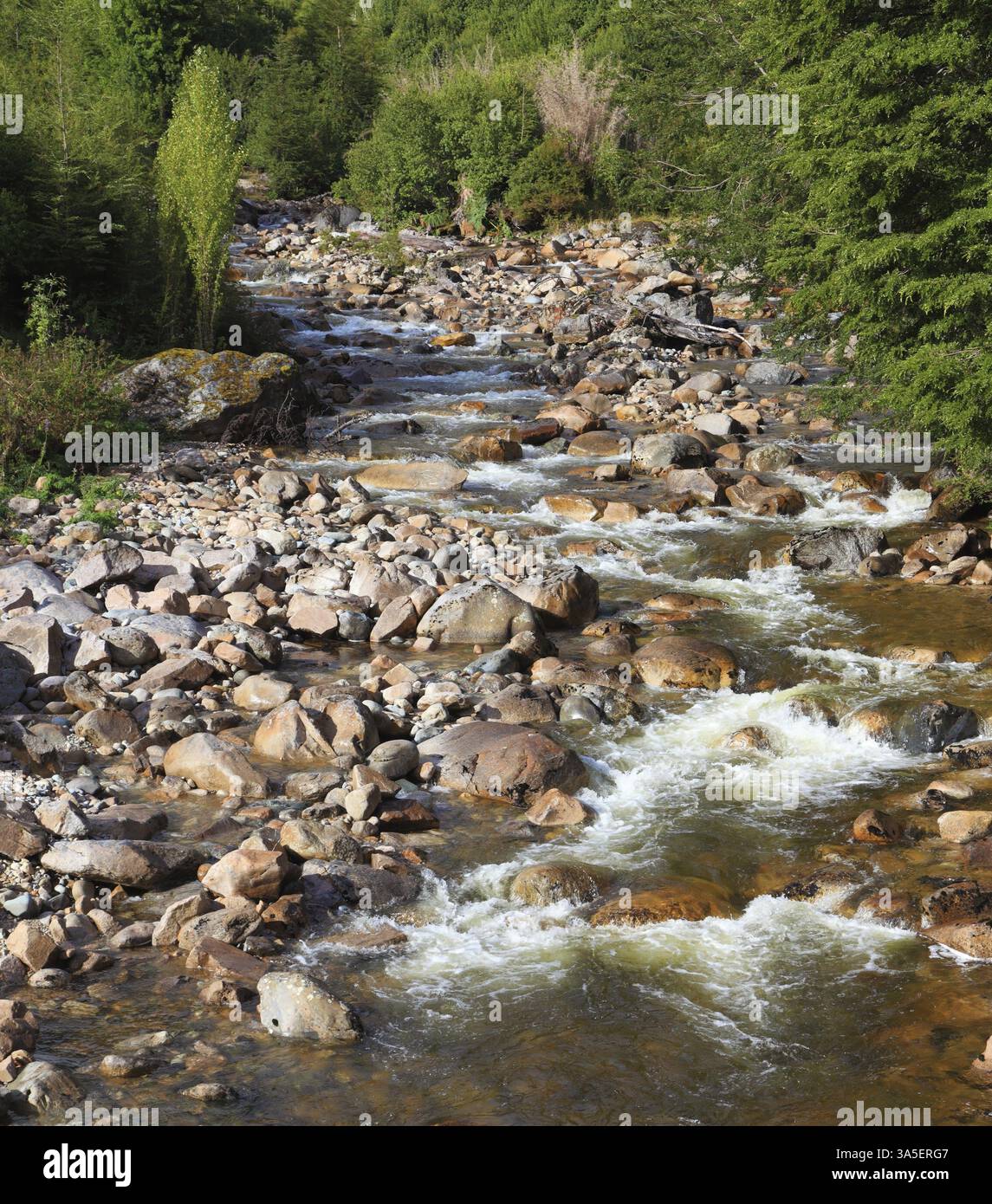 Quick creek with cold and clean water. The creek flows through a dense ...