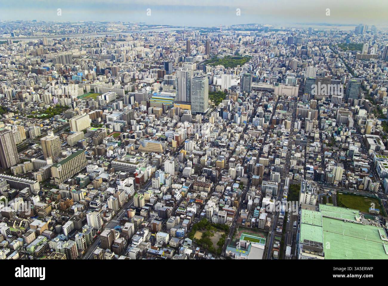 View of the capital of Japan. The view from the observation deck of the ...