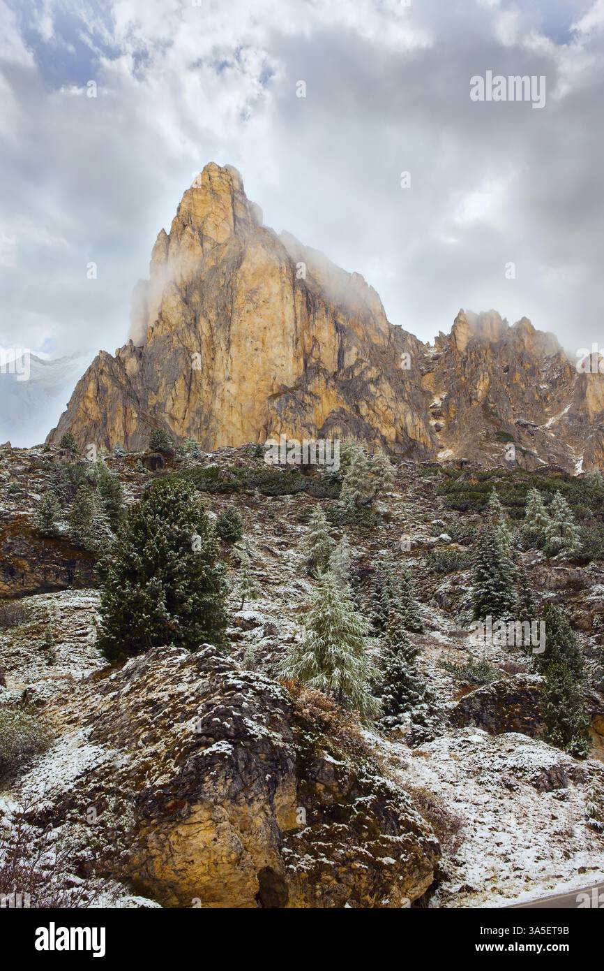 Magnificent panorama of Dolomite Alps. Giau Pass. Huge evergreen spruce ...