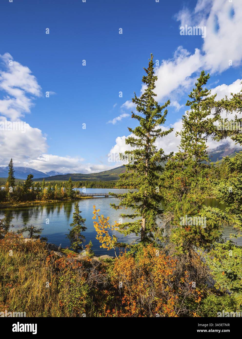 Alpine landscape among fir trees hi-res stock photography and images ...