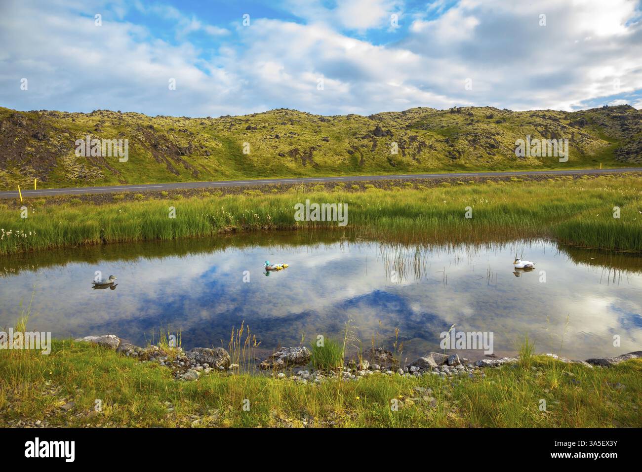Small lake with thermal water. In the smooth surface of the water ...
