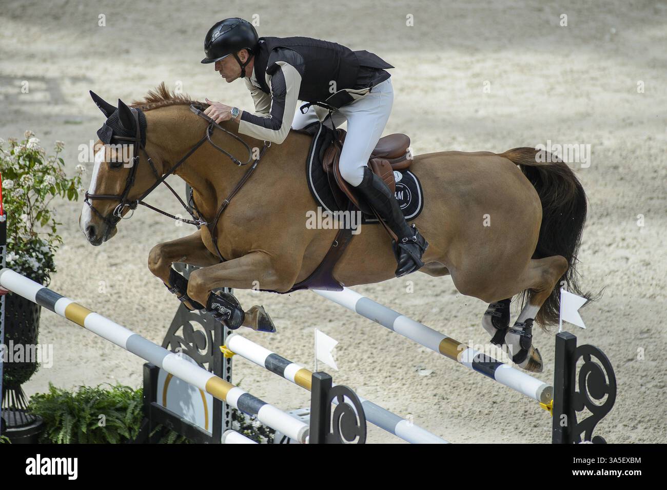 Peder FREDRICSON (SWE) riding SV VROOM DE LA POMME Z during the Saut ...