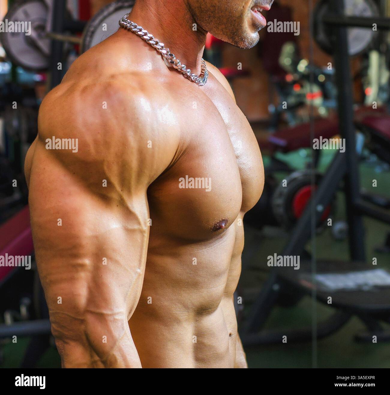 Man working out at the gym, side view of muscular and ripped chest, pecs and arm muscles Stock ...