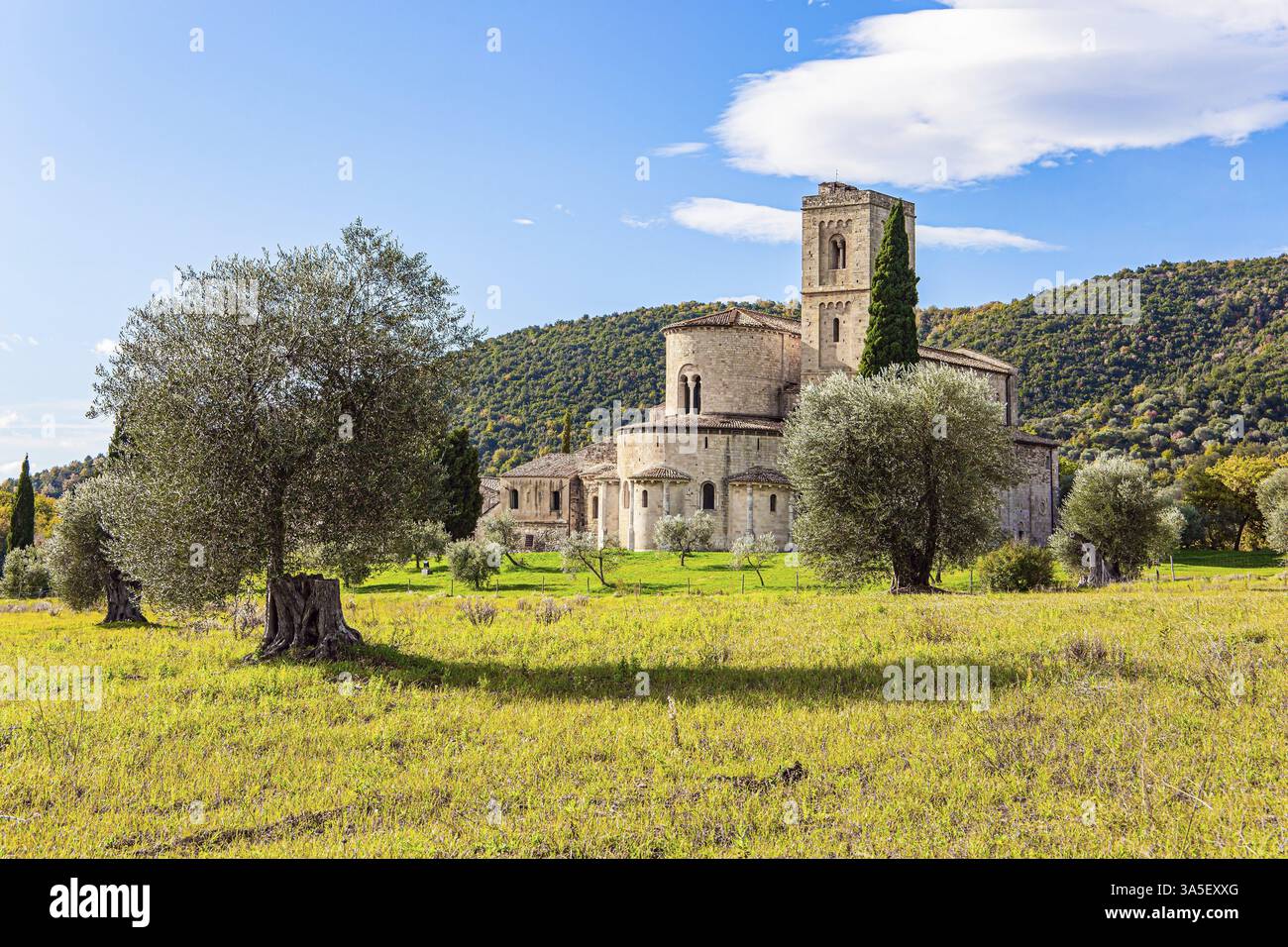 The magnificent snow-white abbey among green grassy hills and slender ...