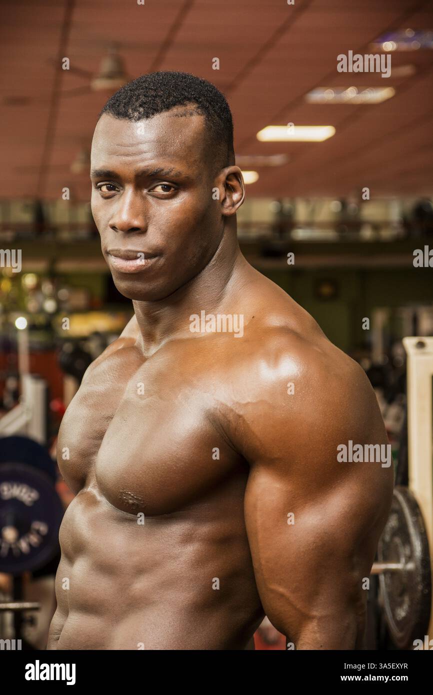 Attractive hunky black male bodybuilder doing bodybuilding pose in gym ...