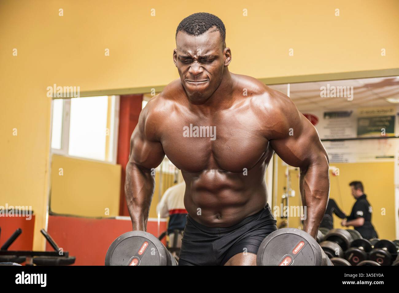 Hunky muscular black bodybuilder working out in gym, exercising back ...
