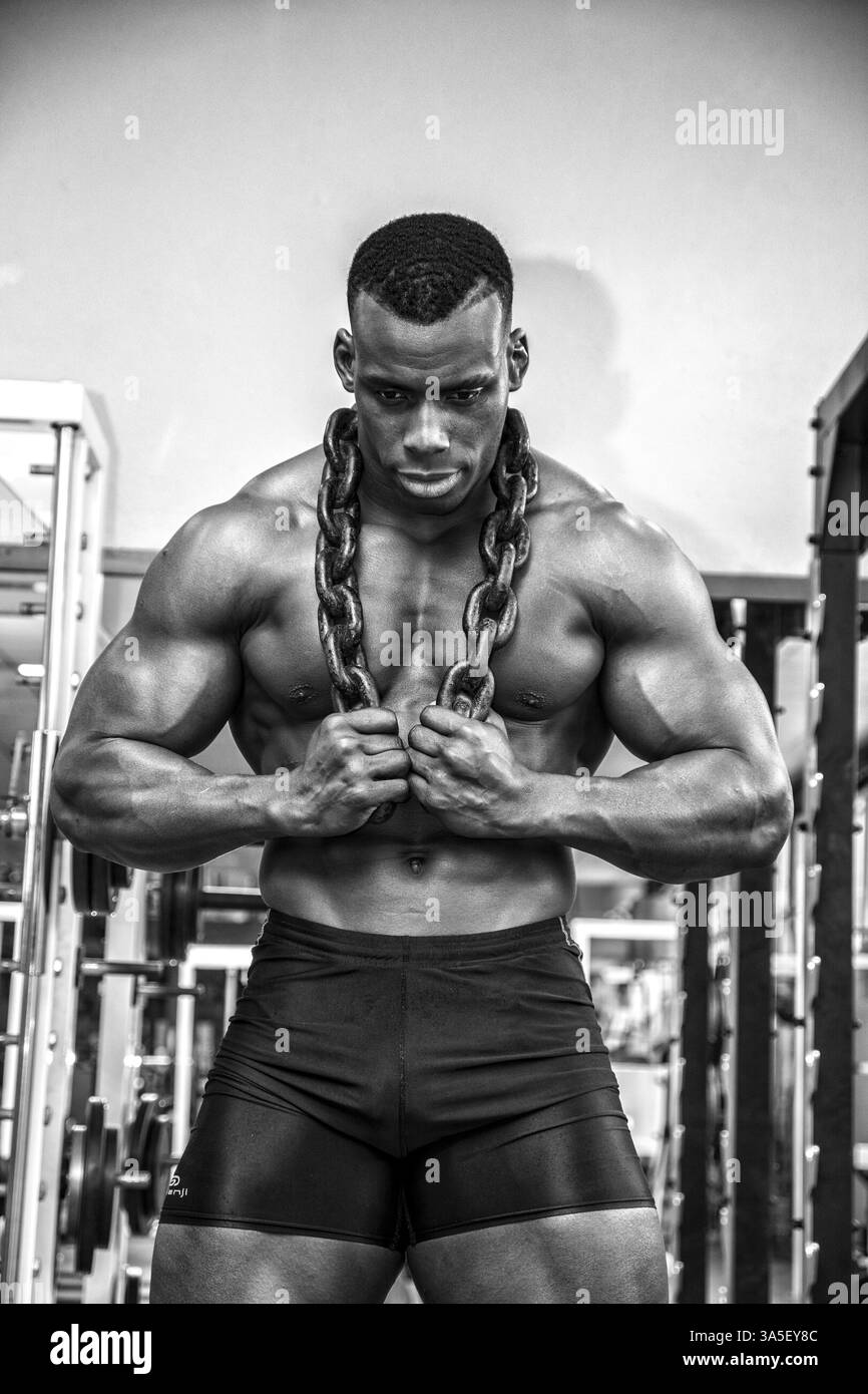 Attractive hunky black male bodybuilder doing bodybuilding pose in gym ...