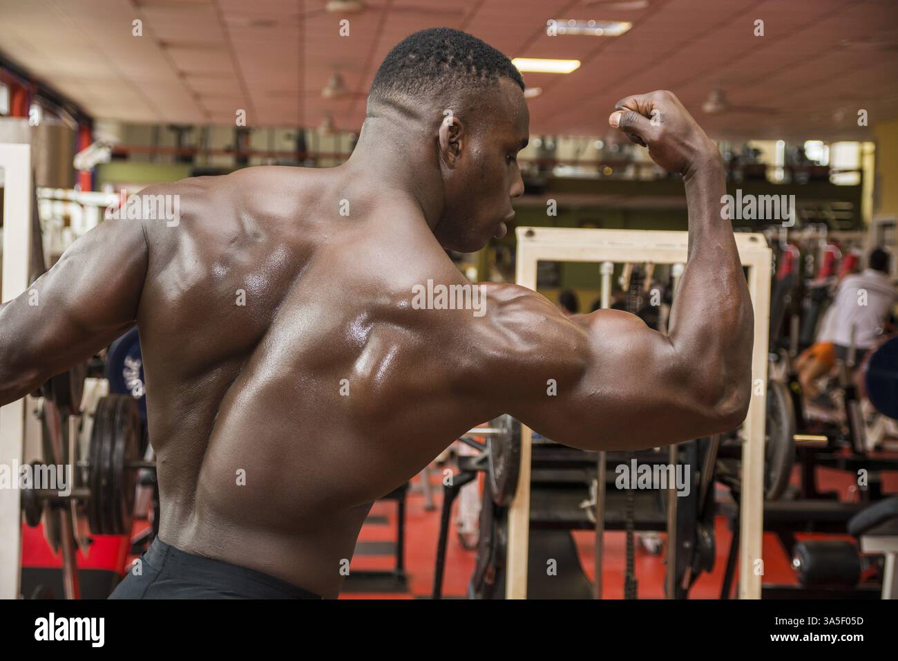 Attractive hunky black male bodybuilder doing bodybuilding pose in gym ...
