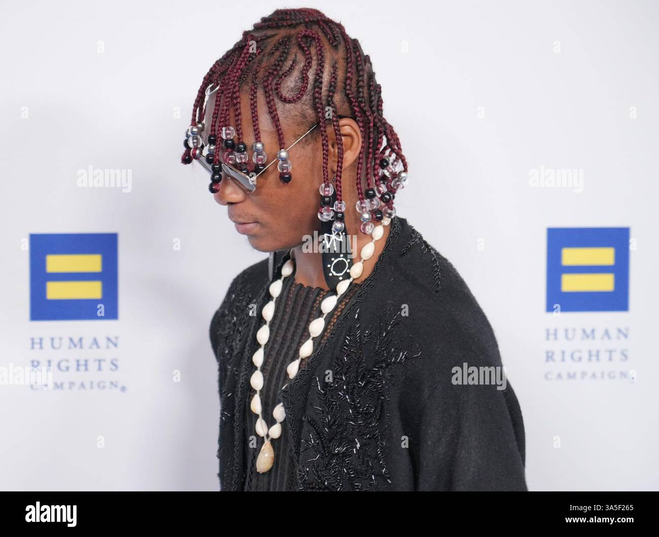 Dreamer Isioma arrives at the Human Rights Campaign's 2025 Los Angeles ...
