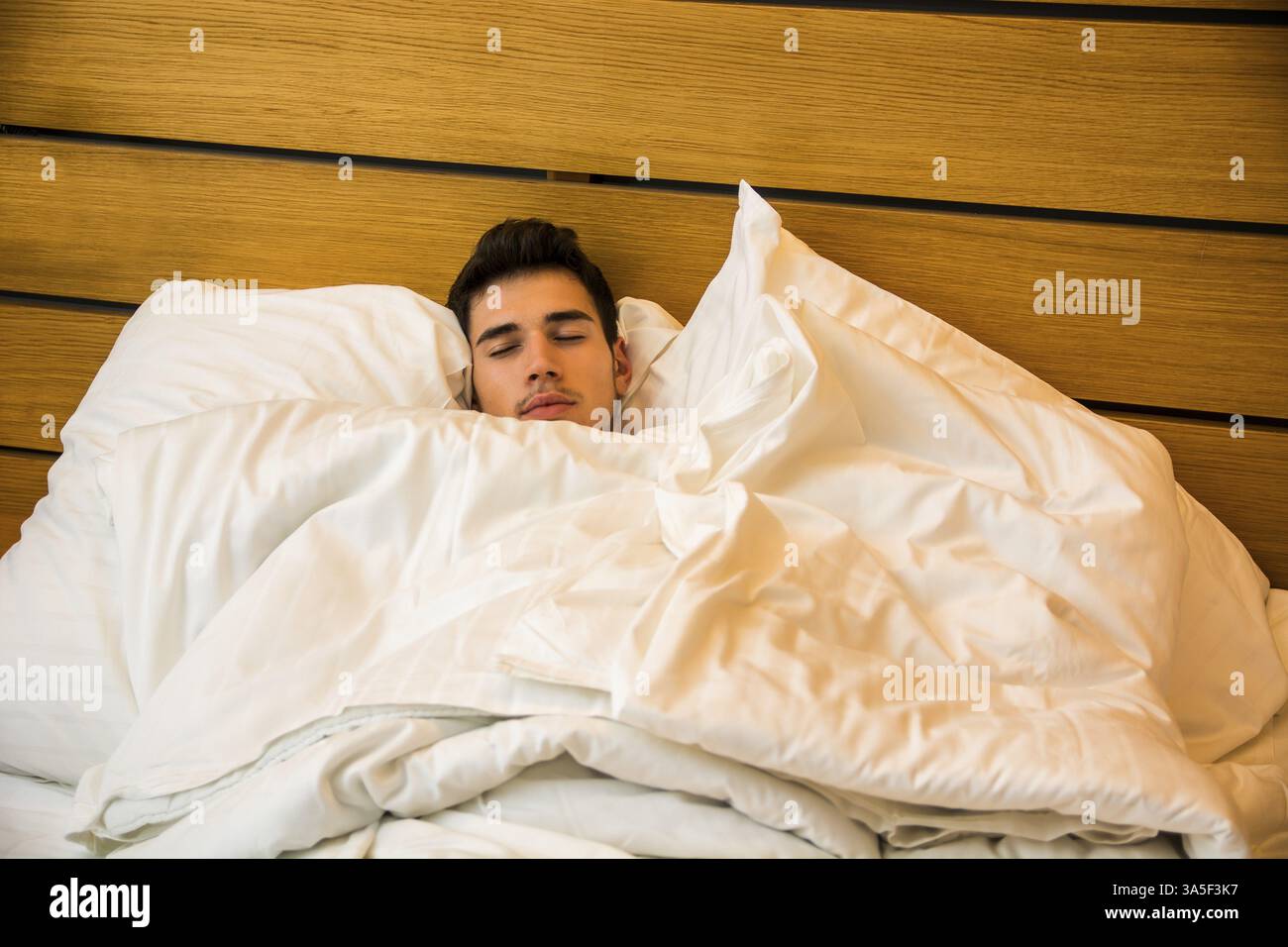 Attractive male model lying alone in his bed, sleeping, totally covered ...