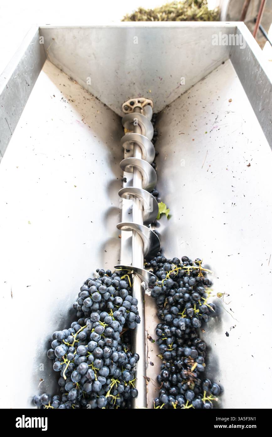 Grape machine hi-res stock photography and images - Alamy