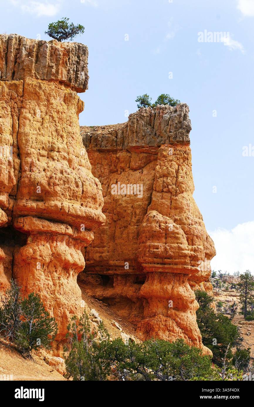 Hoodoo are tall, thin, pointed geological formations. The famous Joshua ...