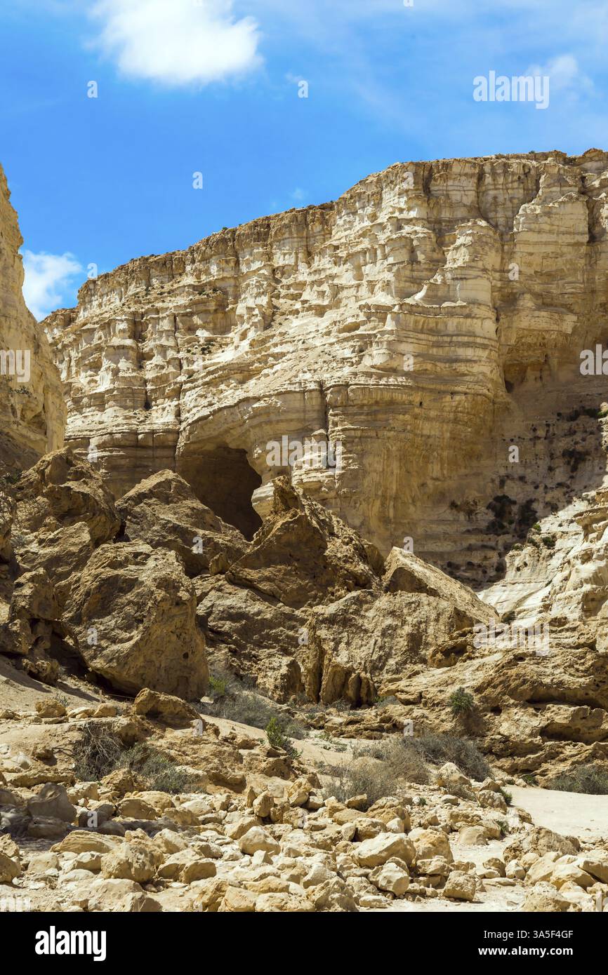 Israel. The magnificent gorge Ein Avdat is the most beautiful in the ...