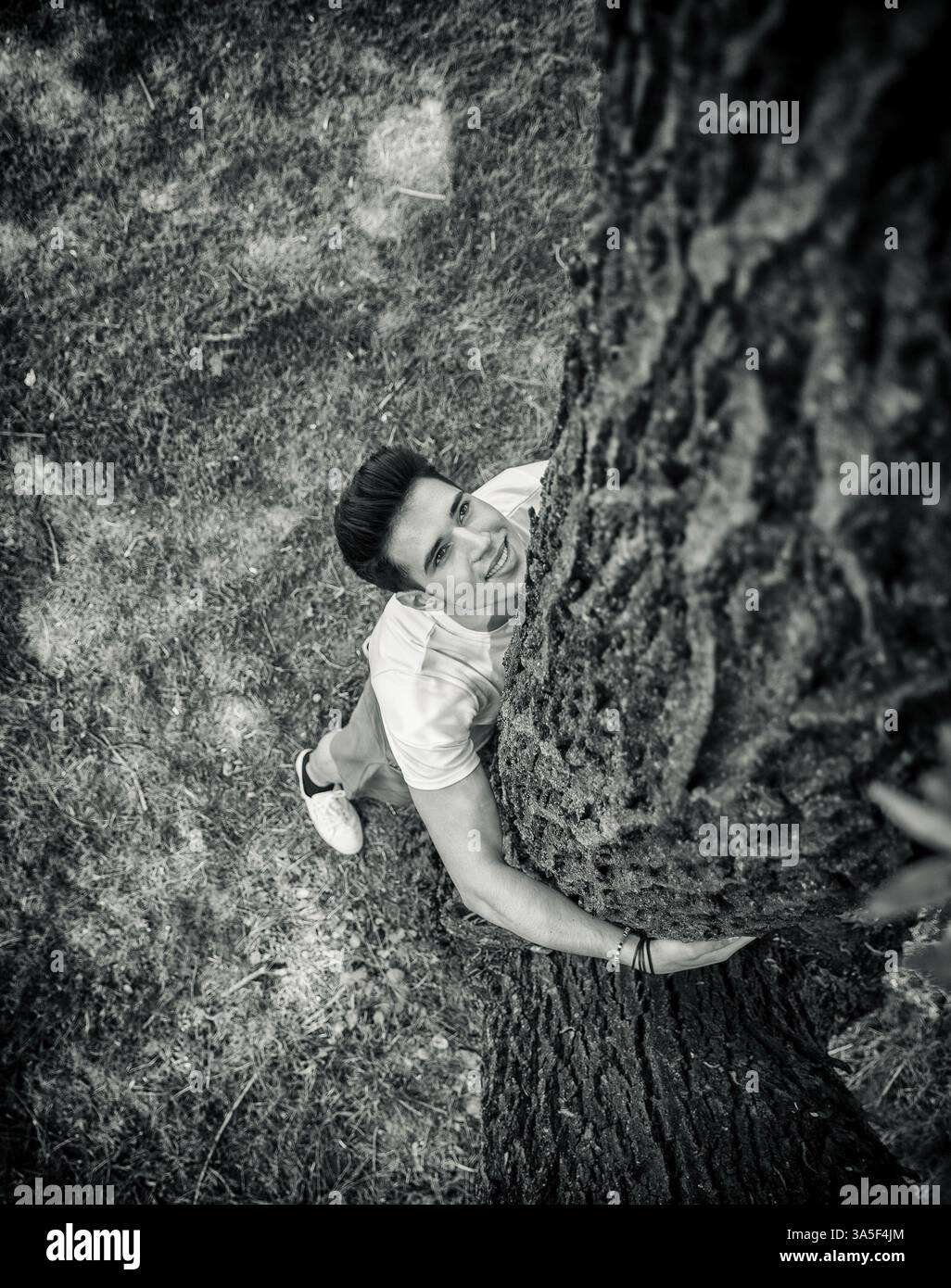 Smiling handsome young man hugging a tree, looking up, seen from up ...