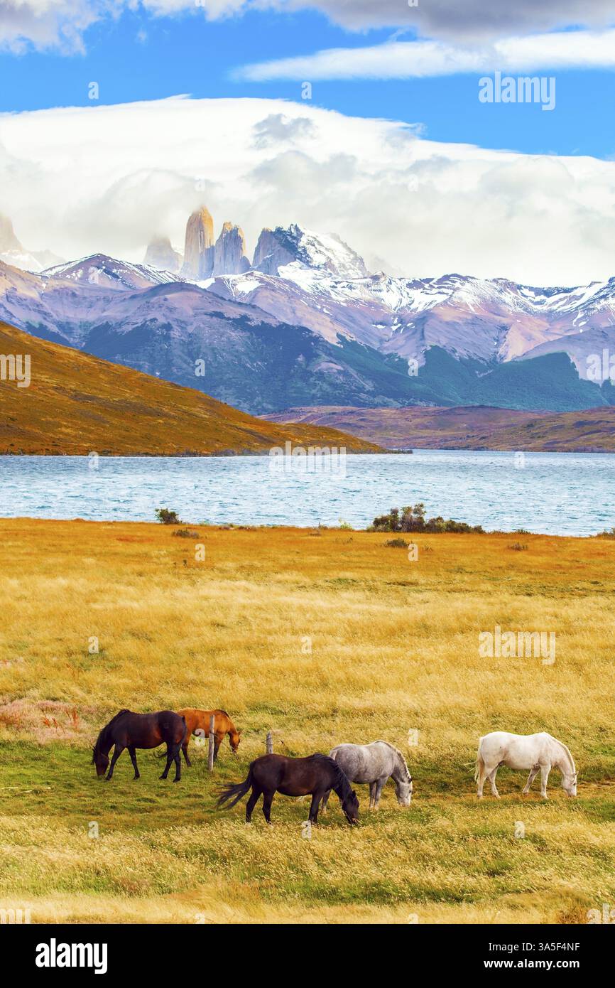 The Torres del Paine park in Chile. Lagoon Azul is a mountain lake near ...