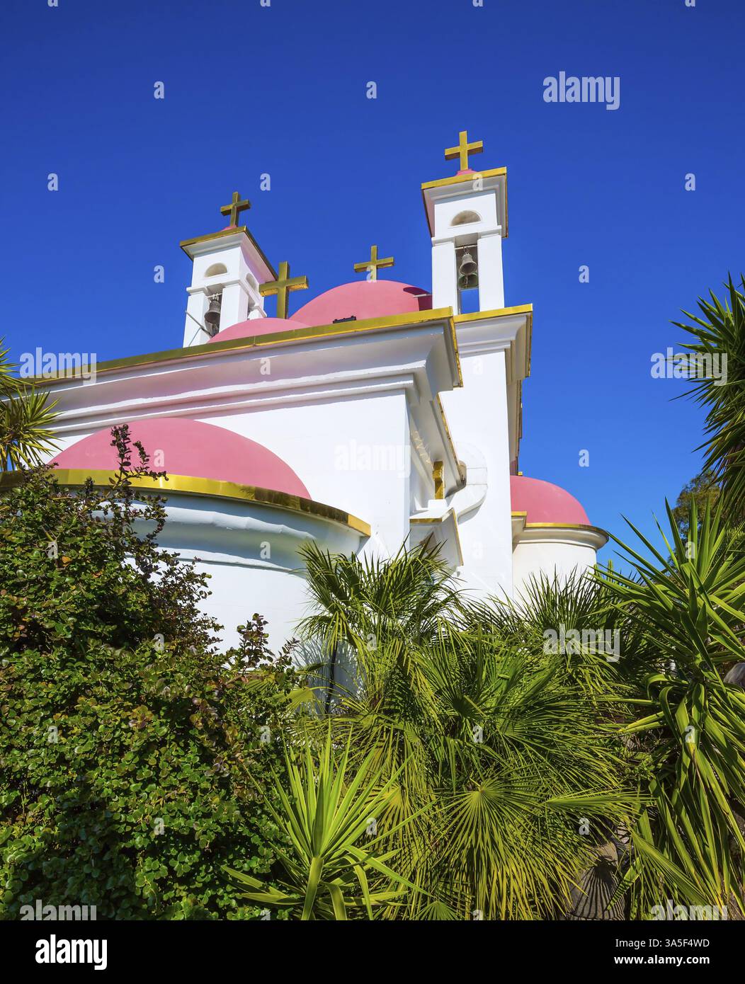 Gorgeous green south park. Israel. Capernaum. Place of worship and ...