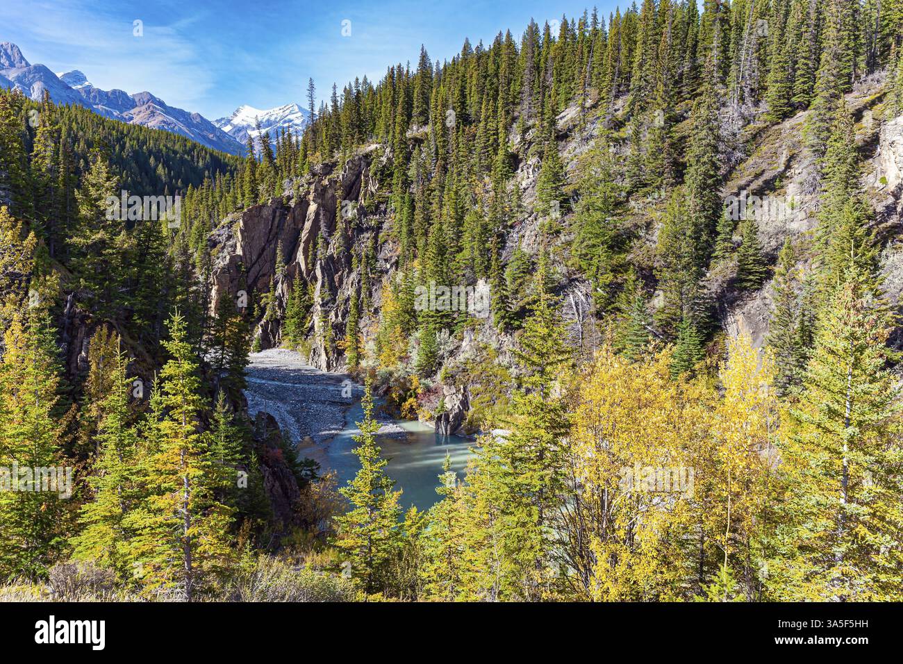 Firs and melt water hi-res stock photography and images - Alamy