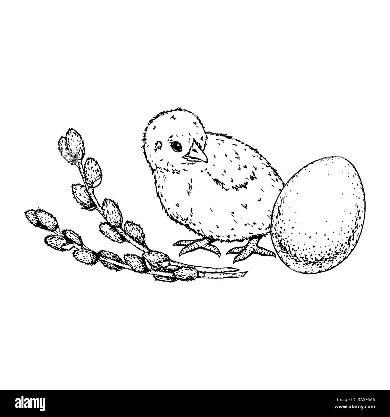 A black and white ink drawing of an Easter chick with an egg and willow ...