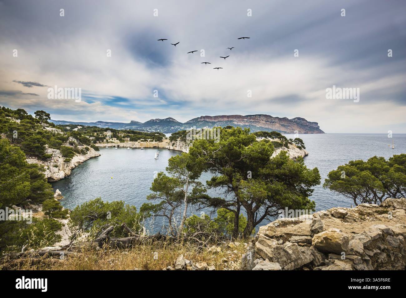 National Park Calanques on the Mediterranean coast. The picturesque bay ...