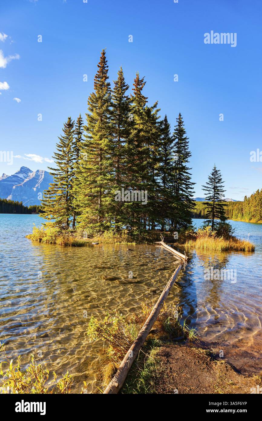 The islet overgrown with evergreen spruce trees. The cold water of the ...