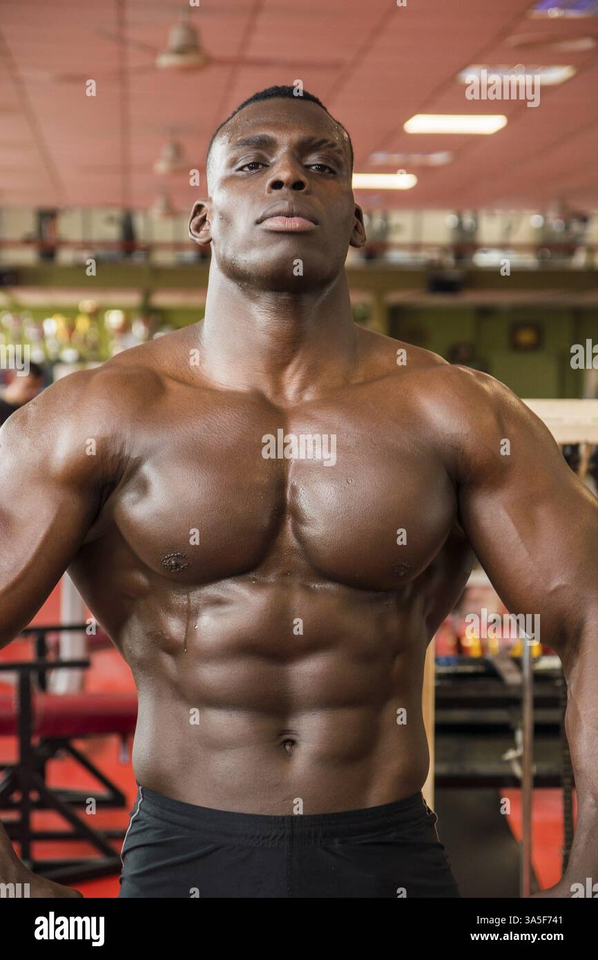 Attractive hunky black male bodybuilder doing bodybuilding pose in gym ...