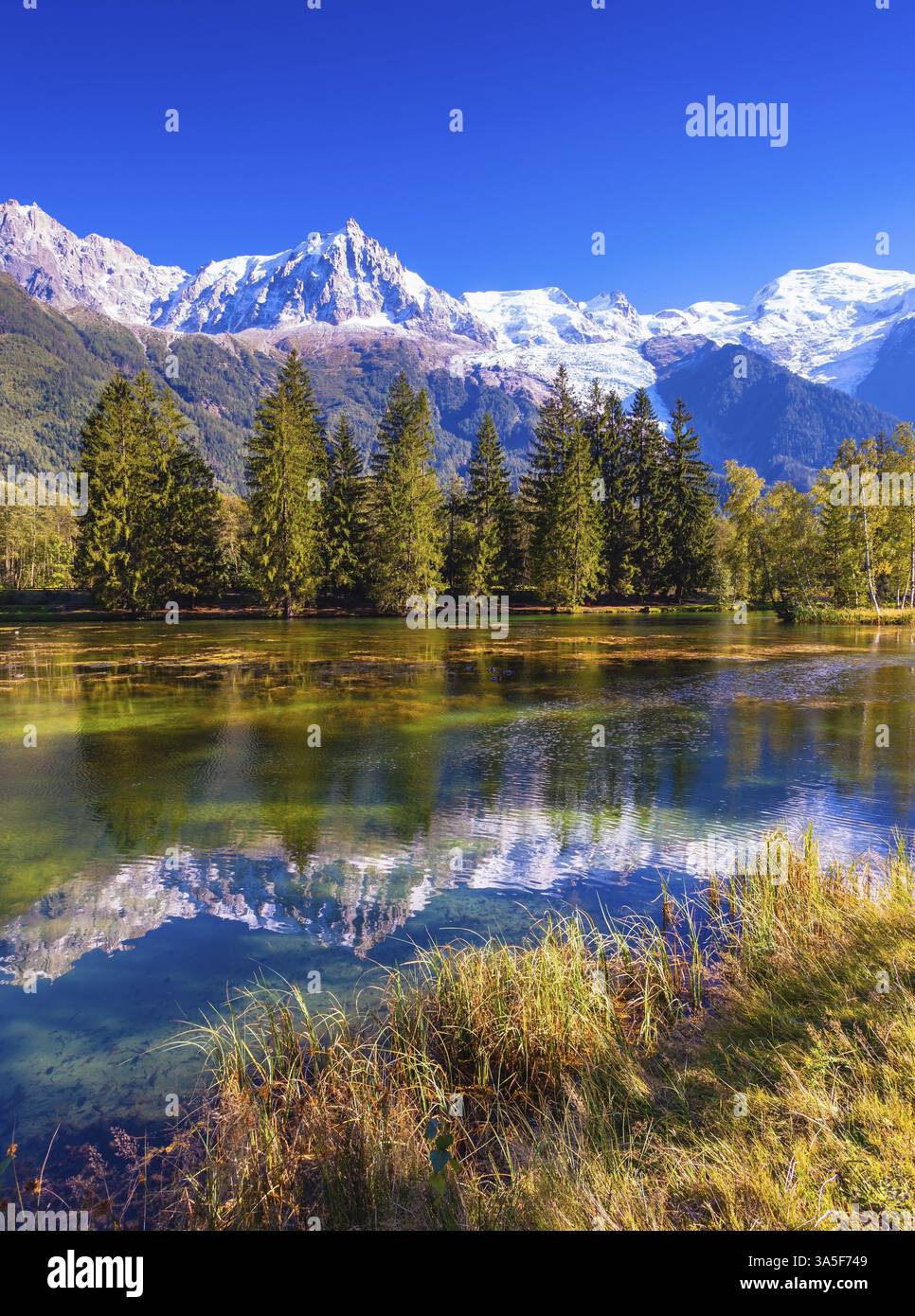 City Park is illuminated by the setting sun. The lake reflected the ...