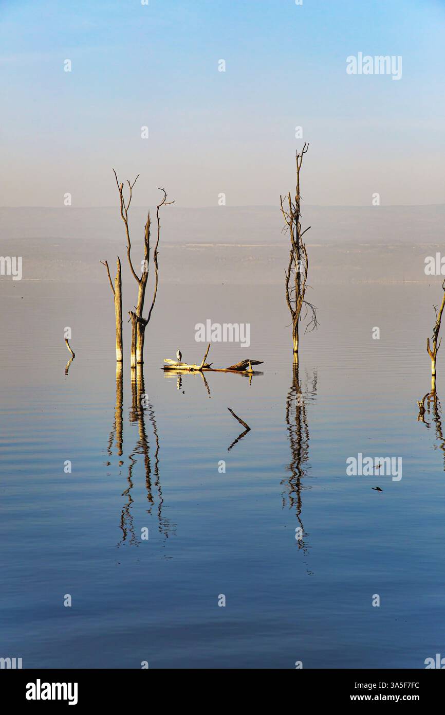 Lake Nakuru in East Africa. Sunset. Gentle sunlight illuminates the ...