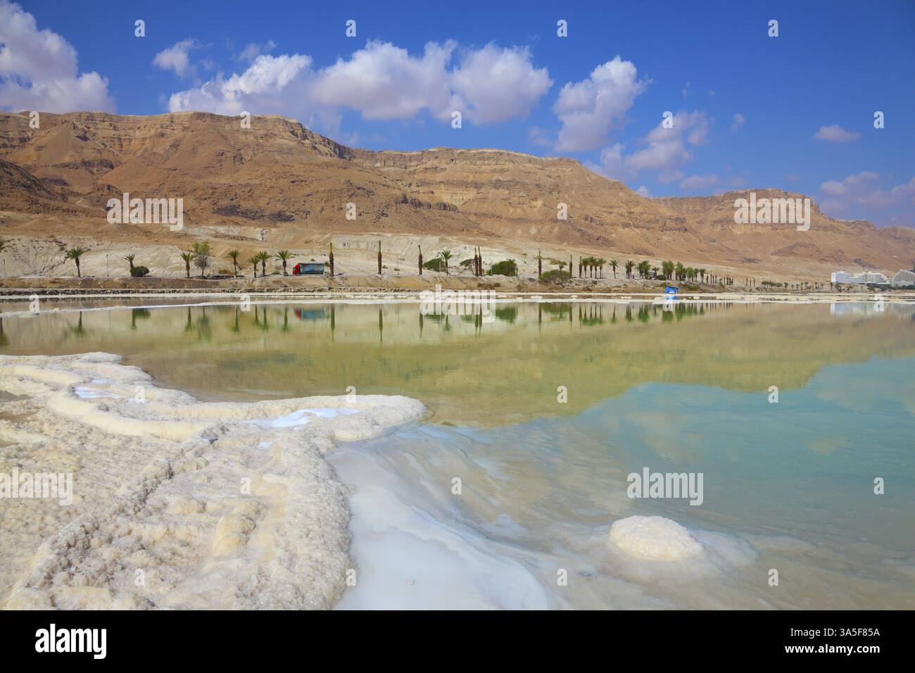 Shores of the Dead Sea in Israel. Path of evaporated salt. Along the ...