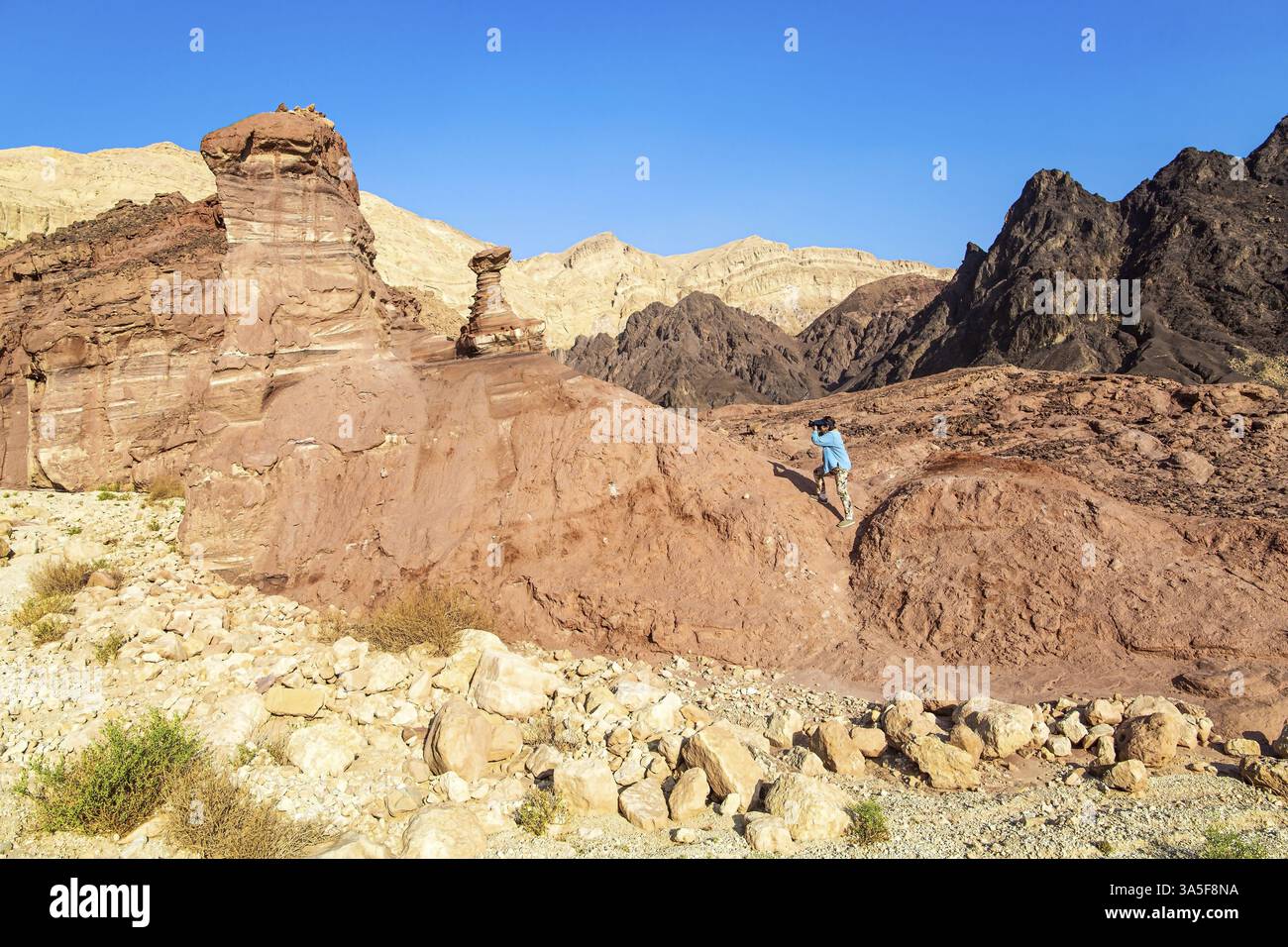 Elderly woman enthusiastically photographs the strange and incredible ...