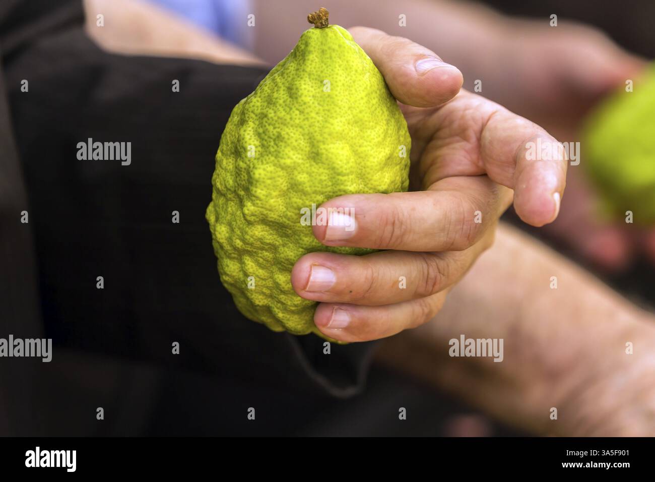 Jerusalem, Israel. The annual pre-holiday bazaar for the holiday Sukkot ...