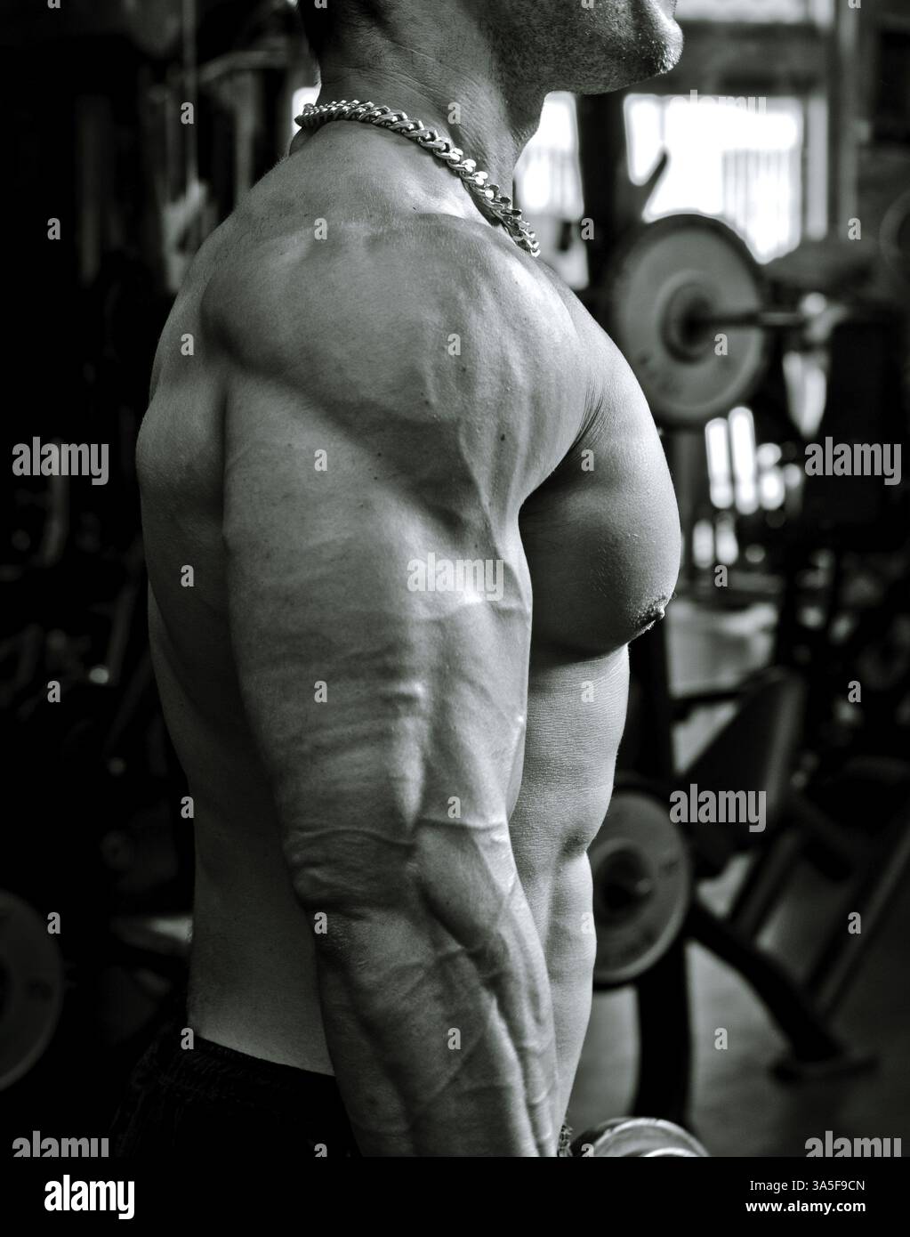 Man working out at the gym, side view of chest, pecs and arm Stock Photo - Alamy
