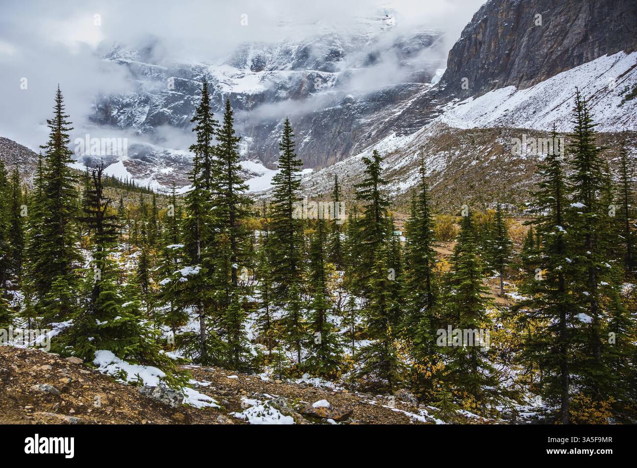 Mount Edith Cavell. Cold start of autumn in Jasper Park. Snow fell in ...