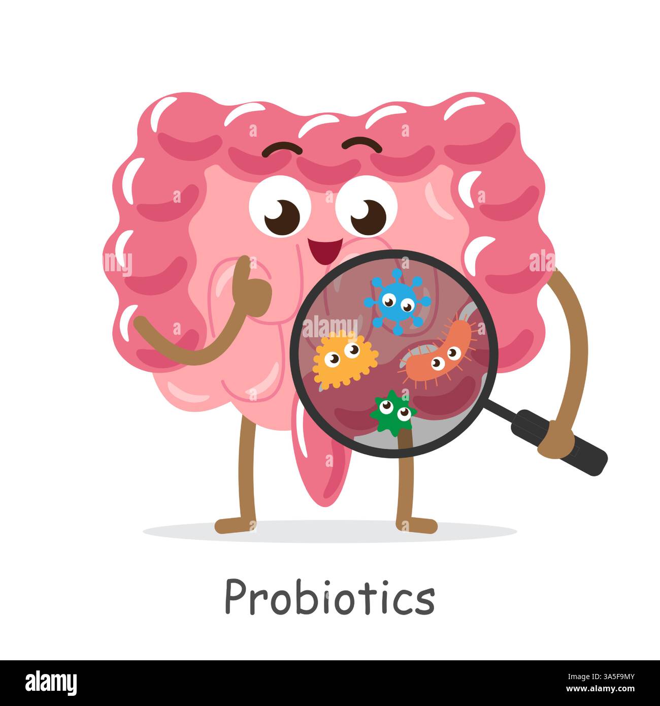 Probiotics . Intestine cartoon character hold magnifying glass to see ...