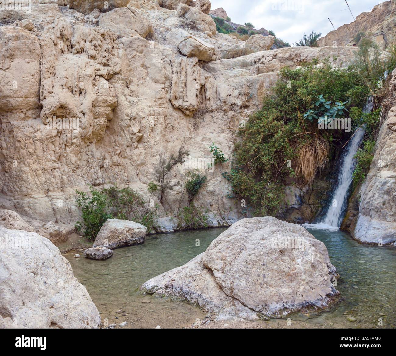 The journey through the reserves Ein Gedi. Adorable waterfall among ...