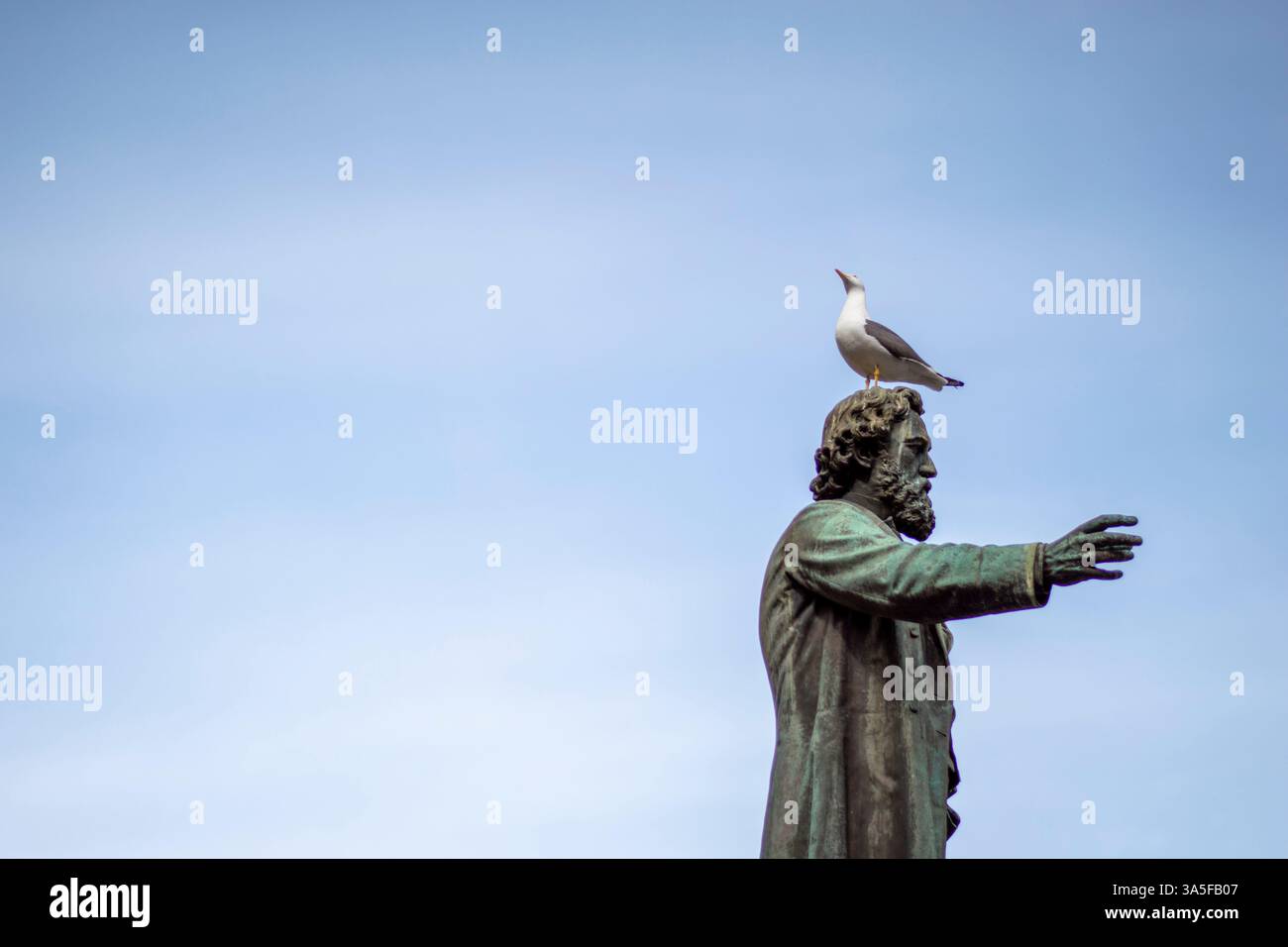 A seagull perches on a historic bronze statue against a blue sky. The ...
