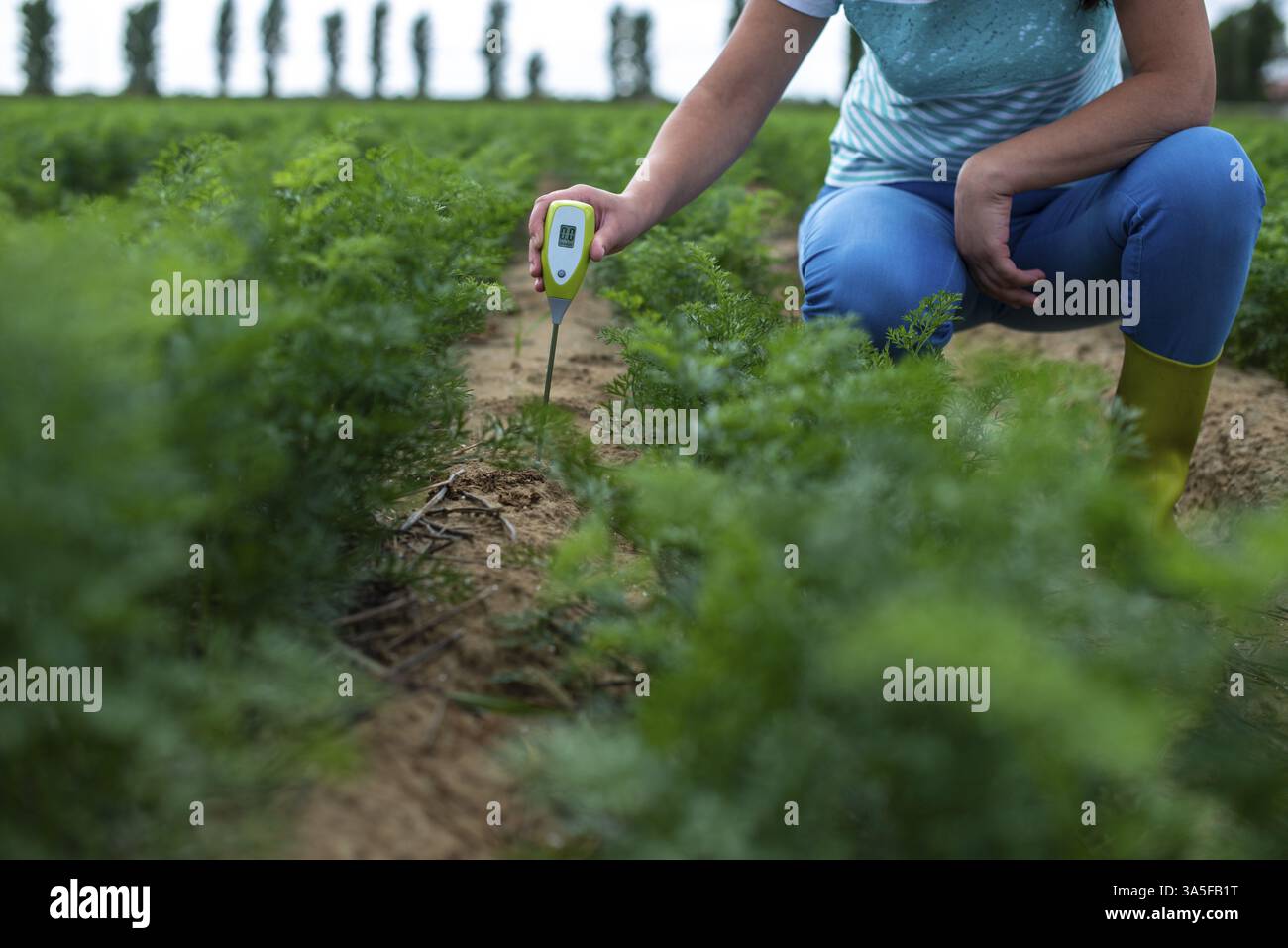 Measure soil with digital device. Green plants and woman farmer measure ...